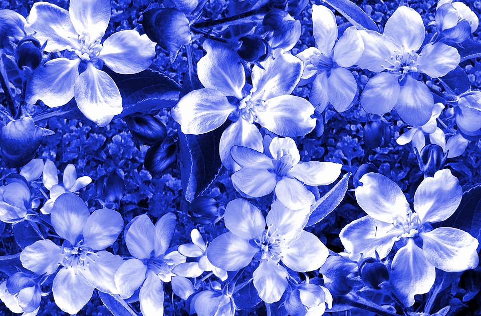 Monokromatik Renk Fotoğrafçılığı | Fotoğrafçının Dünyası